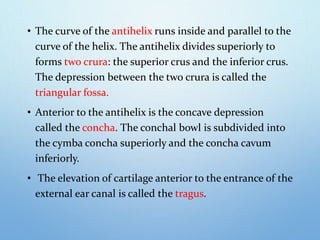 Microtia and ear abnormalities final | PPT