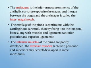 Microtia and ear abnormalities final | PPT