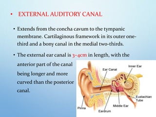 Microtia and ear abnormalities final | PPT