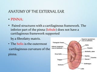 Microtia and ear abnormalities final | PPT