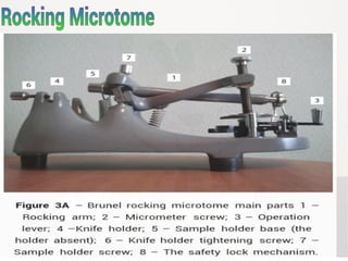 Microtome | PPT