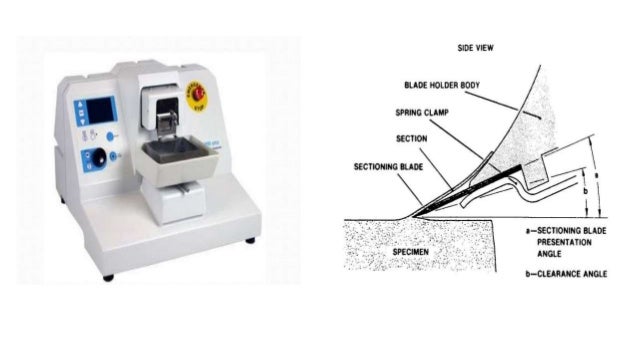 Microtome (2)