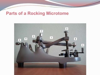 Microtomy | PPTX