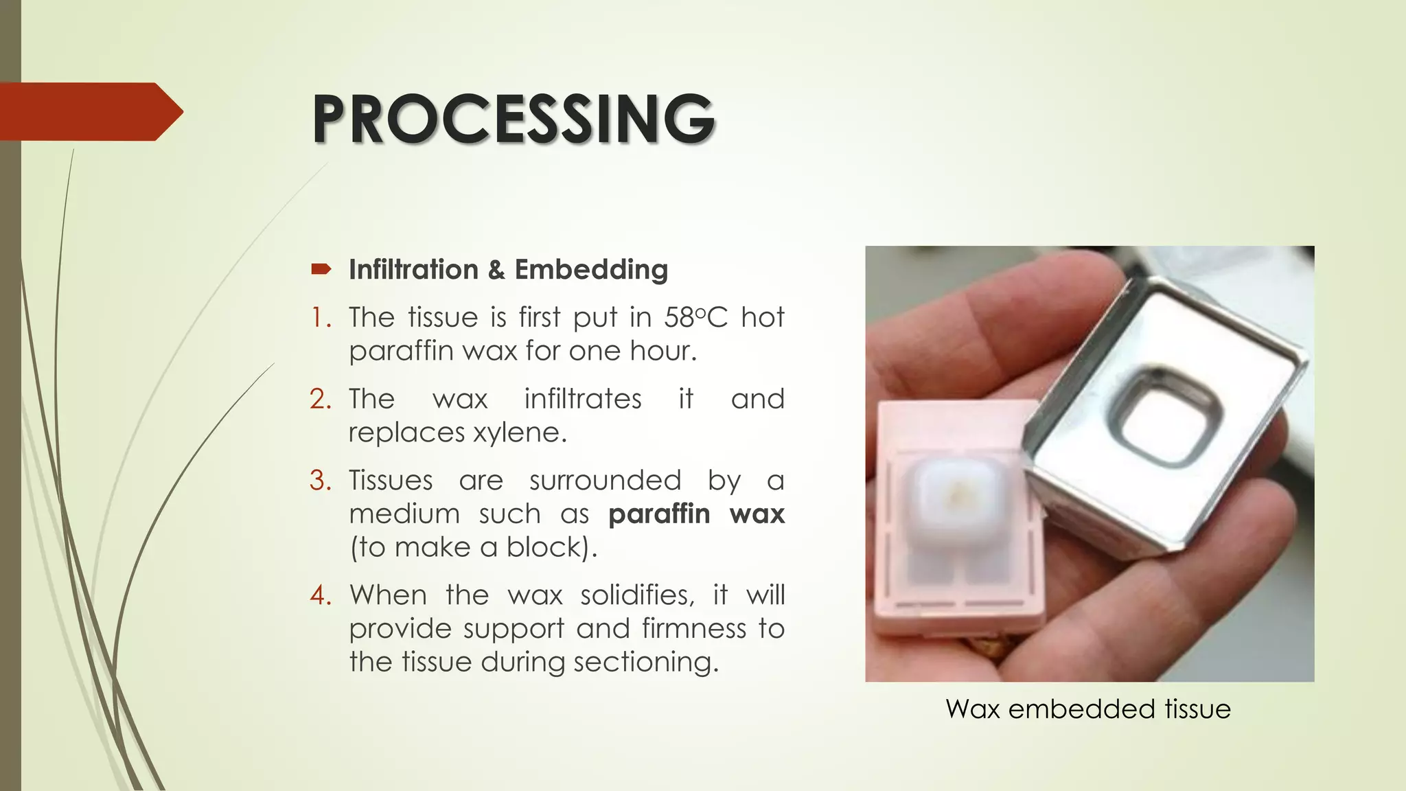 Microtomy - Preparation of Histological Slides | PDF