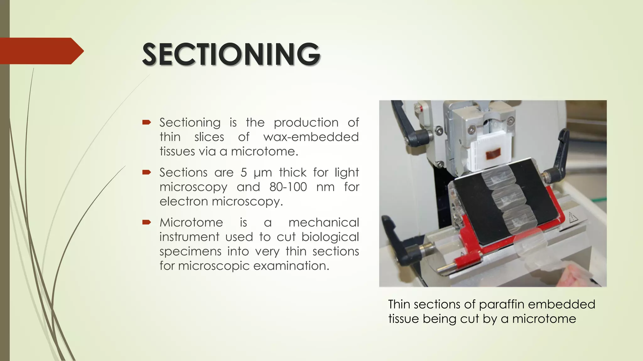 Microtomy - Preparation of Histological Slides | PDF
