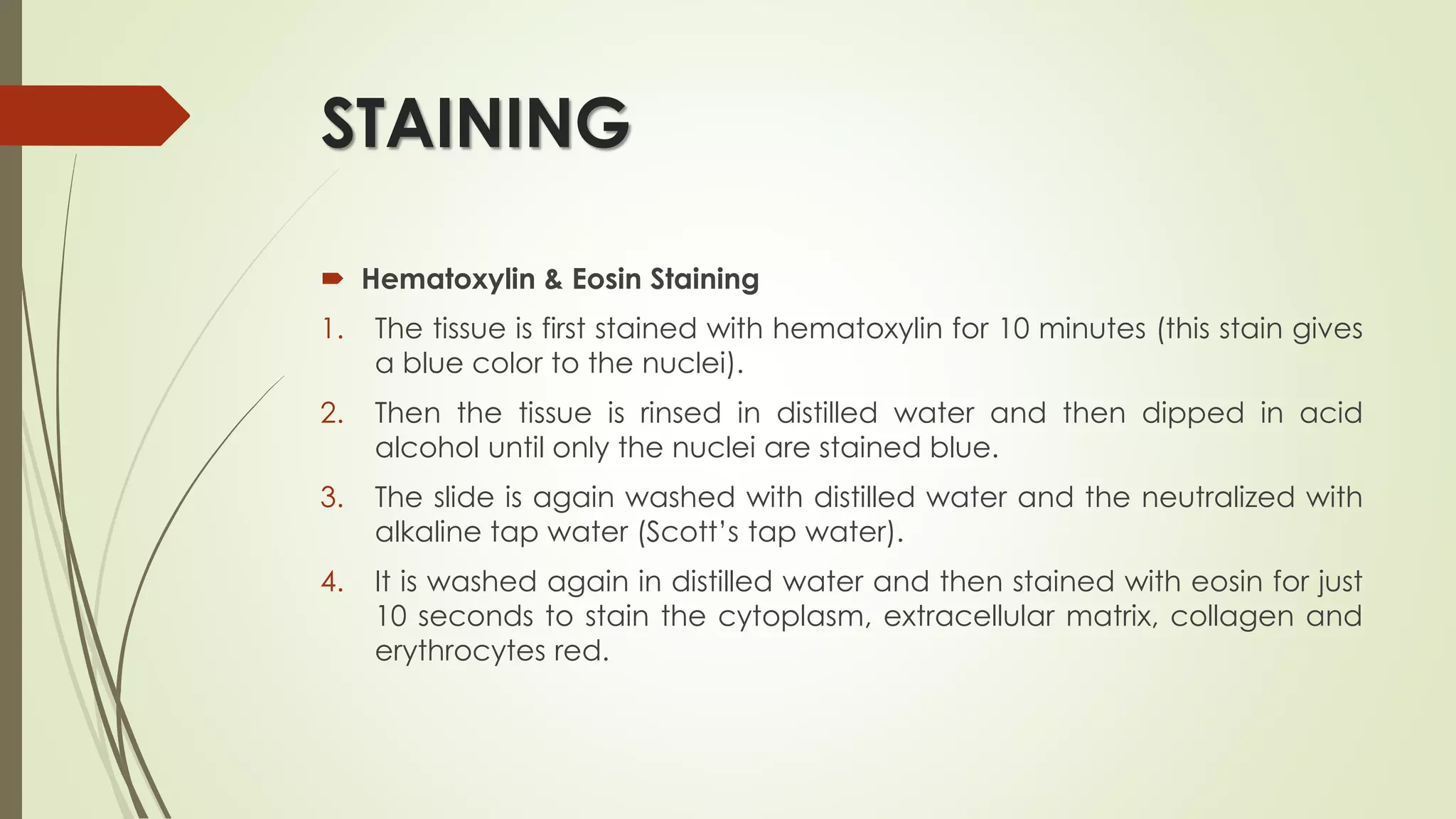 Microtomy - Preparation of Histological Slides | PDF