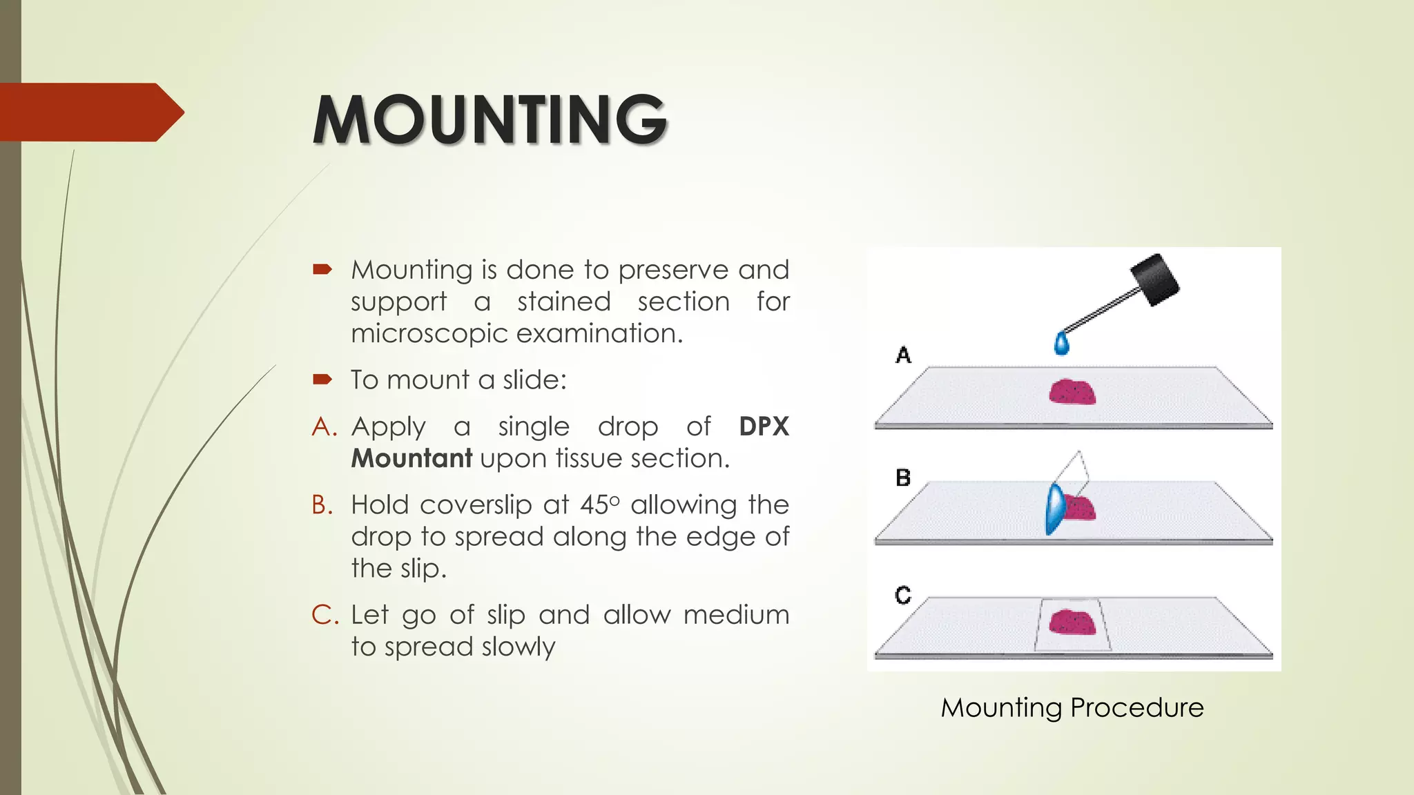 Microtomy - Preparation of Histological Slides | PDF