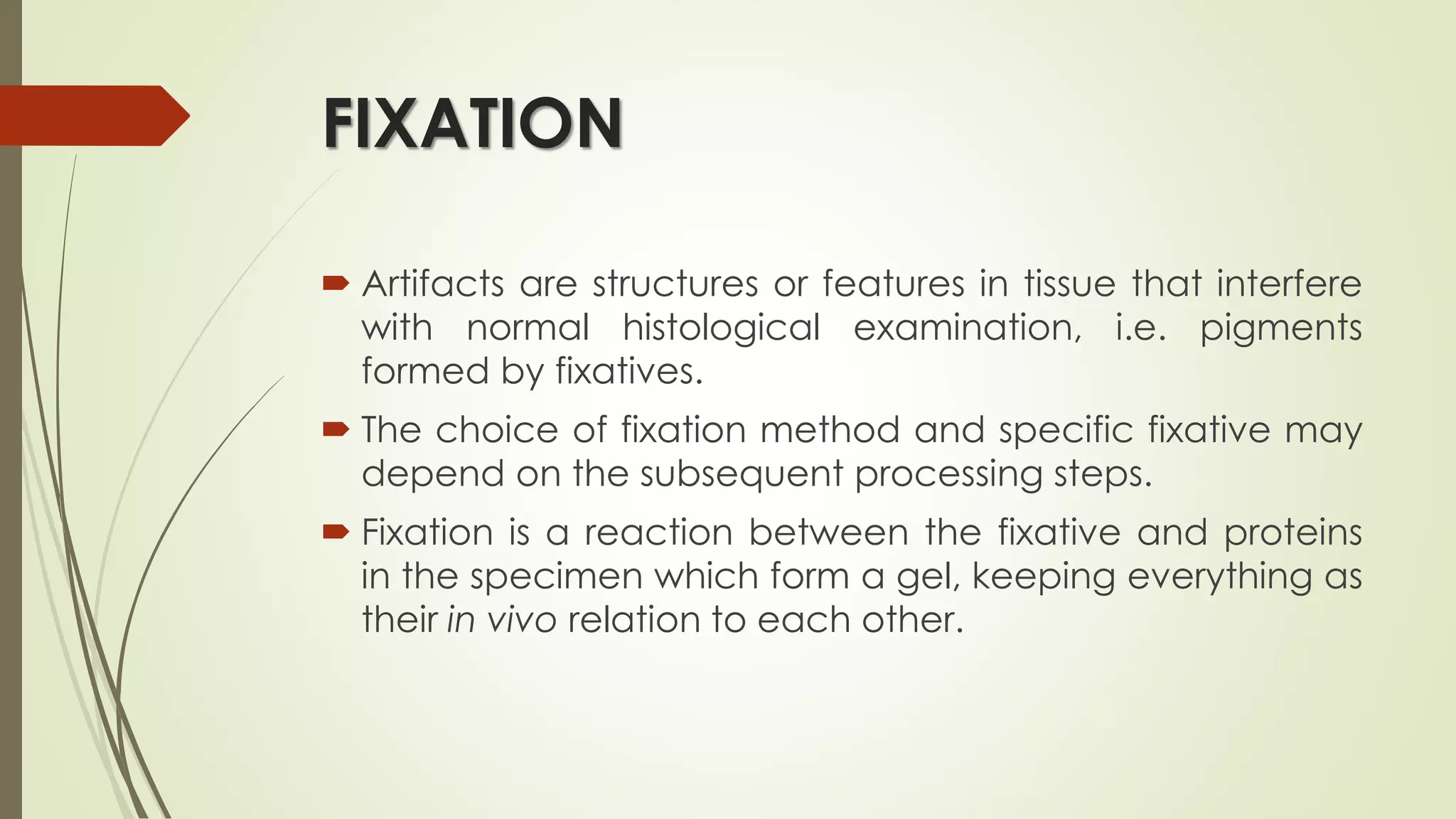 Microtomy - Preparation of Histological Slides | PDF
