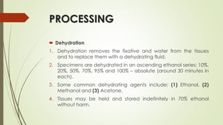 Microtomy - Preparation of Histological Slides | PDF