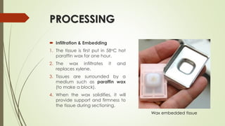 Microtomy - Preparation of Histological Slides | PDF