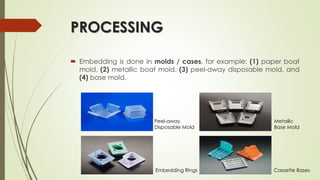 Microtomy - Preparation of Histological Slides | PDF