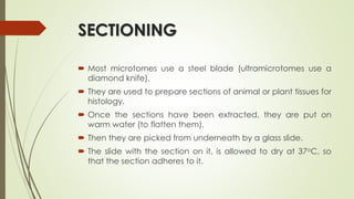 Microtomy - Preparation of Histological Slides | PDF