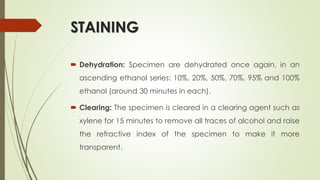 Microtomy - Preparation of Histological Slides | PDF