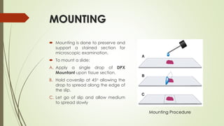Microtomy - Preparation of Histological Slides | PDF