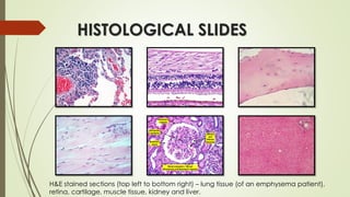 Microtomy - Preparation of Histological Slides | PDF