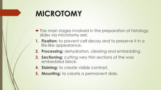 Microtomy - Preparation of Histological Slides | PDF