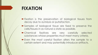 Microtomy - Preparation of Histological Slides | PDF