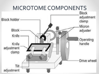 Microtomy and microtomes ppt | PPT