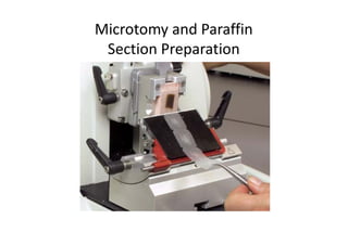 Microtomy and Paraffin Section Preparation ( PDFDrive ).pdf