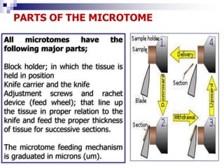 microtomy .ppt