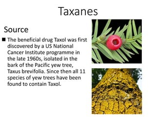 Microtubule inhibiting drugs | PPTX