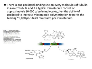 Microtubule inhibiting drugs | PPTX