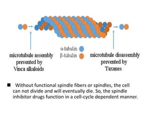 Microtubule inhibiting drugs | PPTX