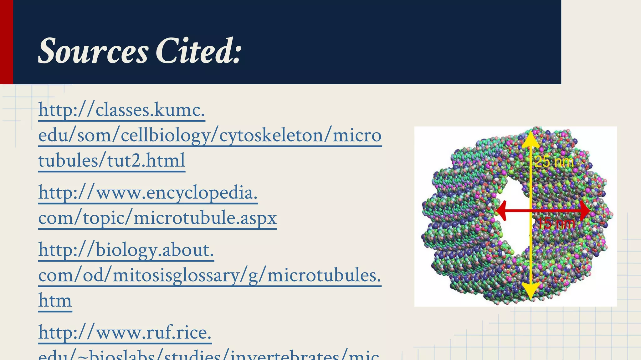 Microtubules Structure and Function | PDF