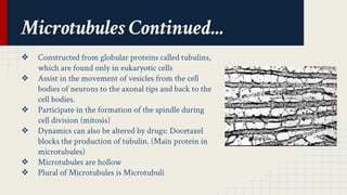 Microtubules Structure and Function | PDF