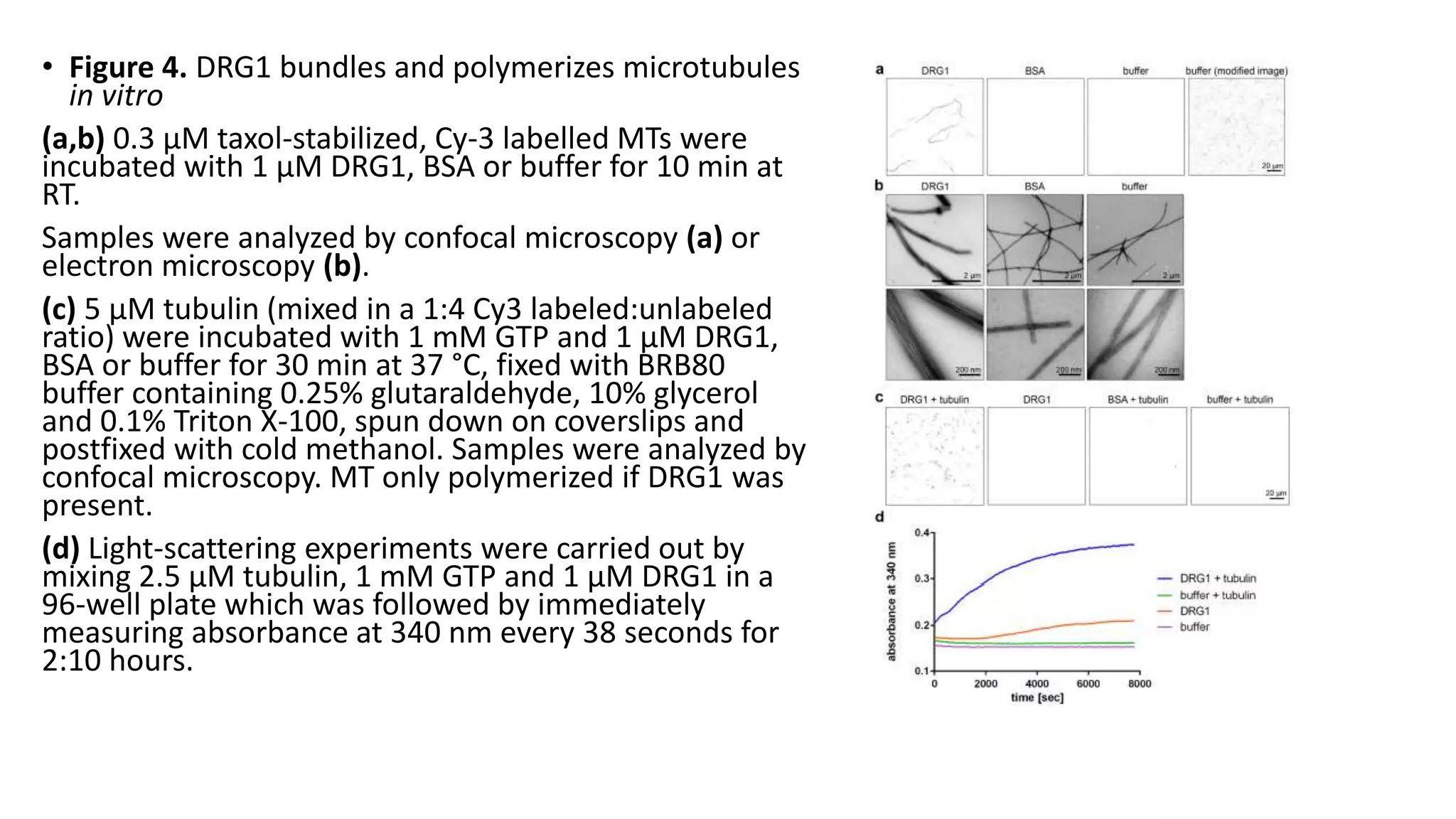 Microtubules | PPTX