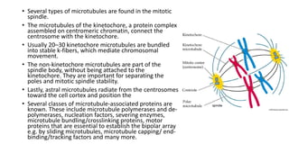 Microtubules | PPTX