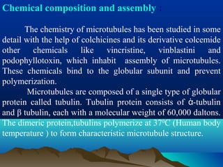 Microtubules by jimmy | PPT