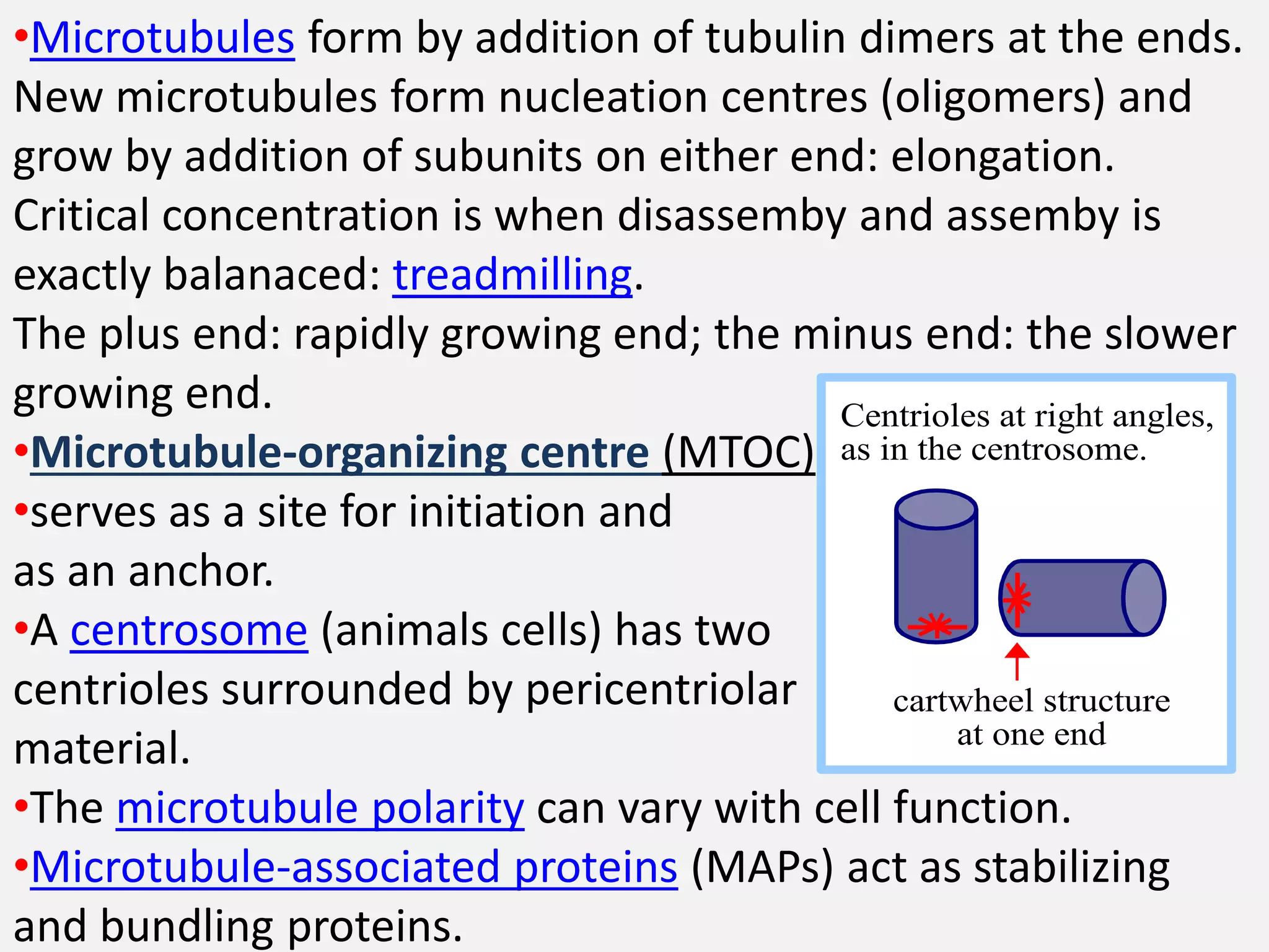 Microtubules & filaments.pptx 2 | PPSX