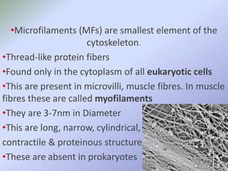 Microtubules & filaments.pptx 2 | PPSX