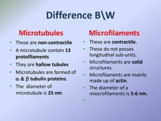 Microfilaments And Microtubules