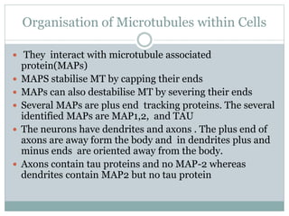 Microtubules | PPTX