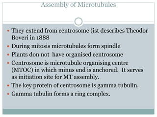 Microtubules Definition