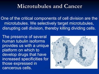 Microtubules in 5 minutes | PDF