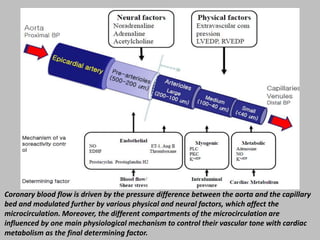 coronary microvascular dysfunction | PPTX