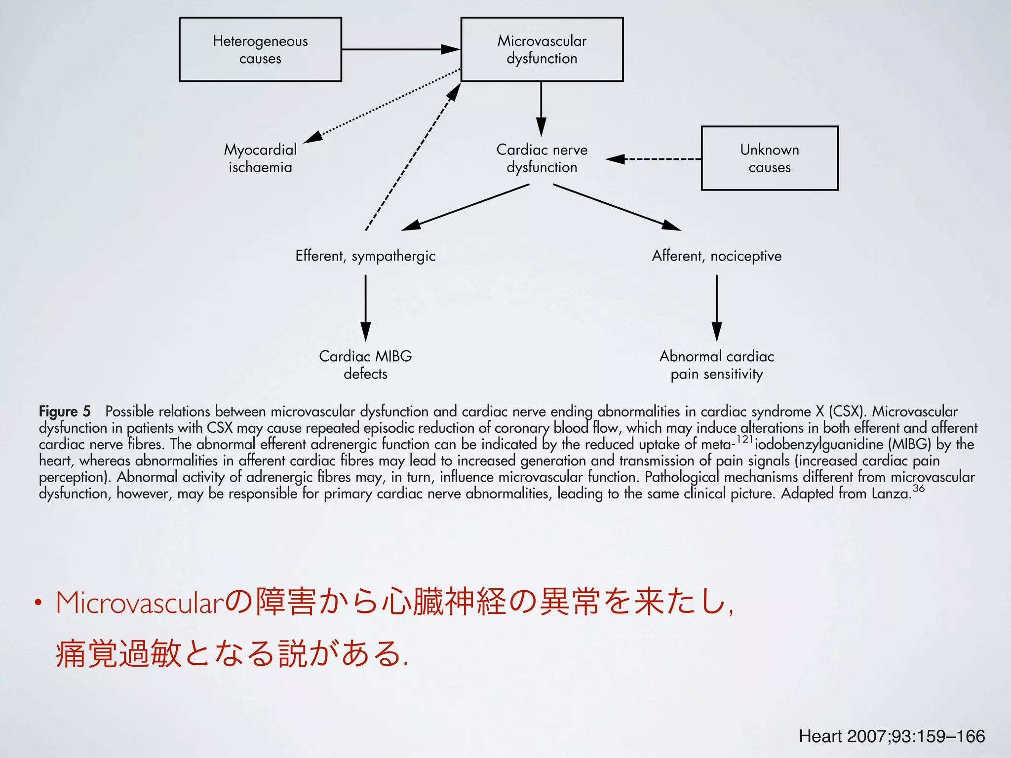 Microvascular angina | PDF