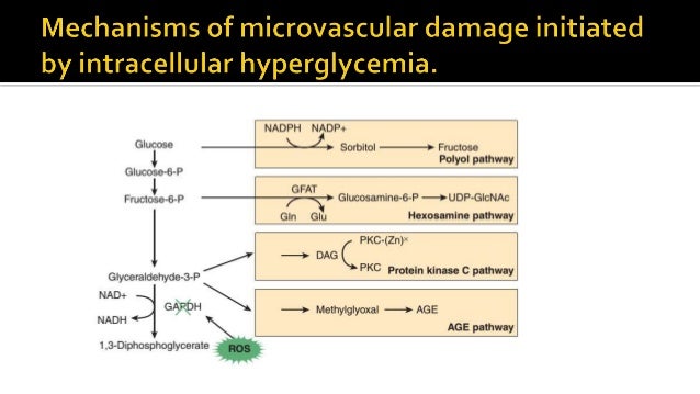 Microvascular Complications Of Diabetes