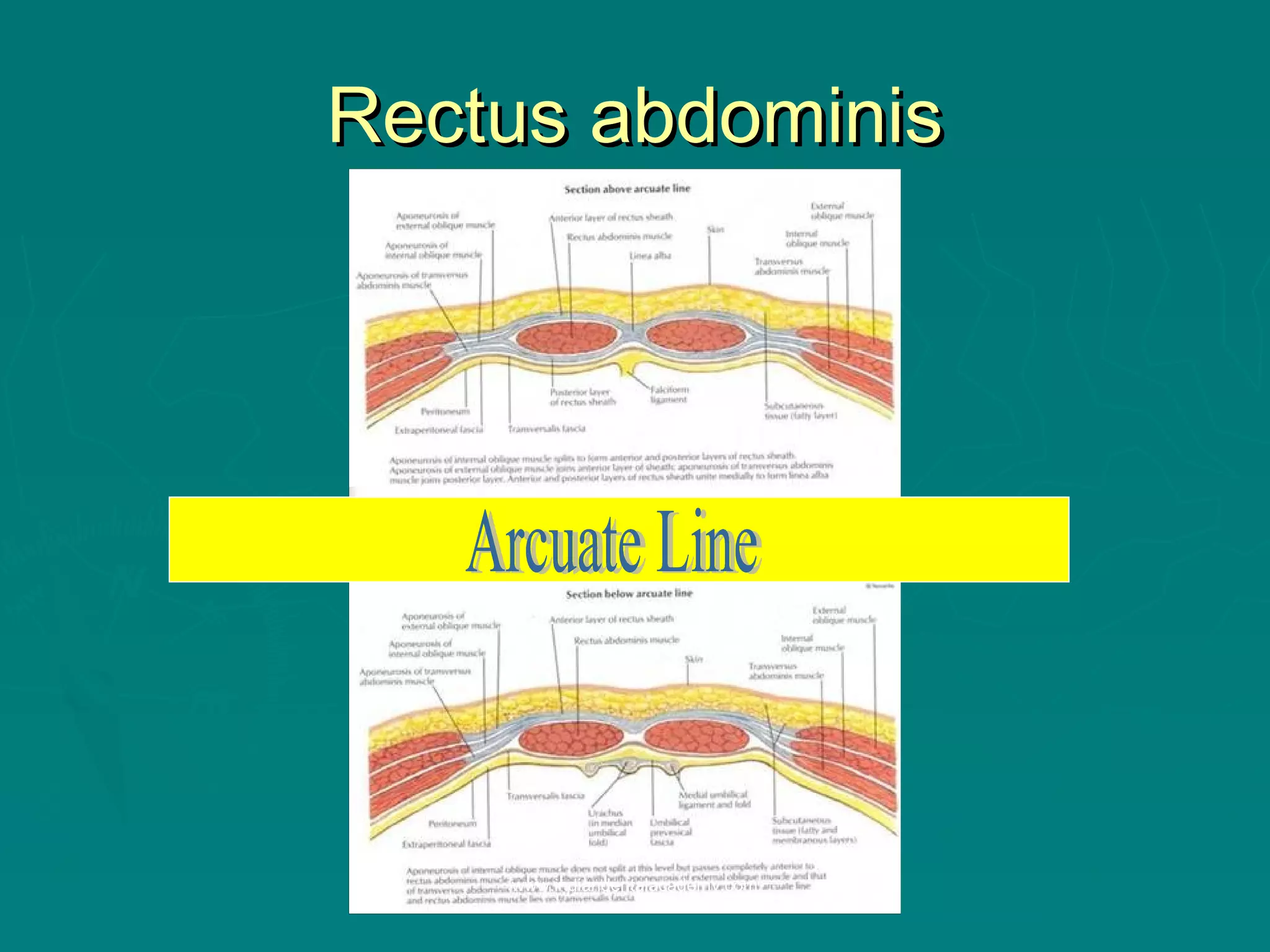 Micro vascular free flaps used in head and neck reconstruction ...