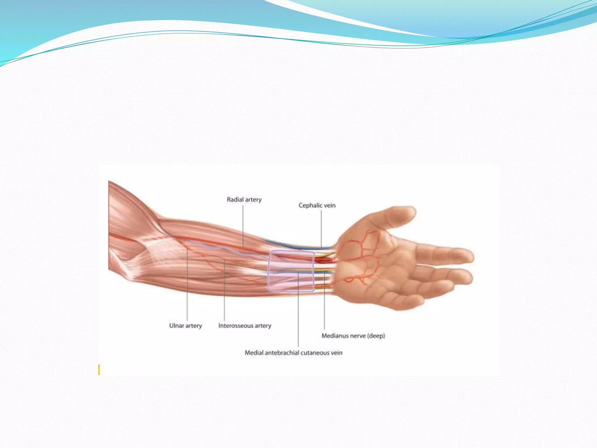 Microvascular flaps for reconstruction in head and neck cancer | PPTX