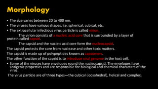 ocular Microbiology virus and fungi dr.mohammed | PPTX