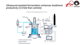 Microwave and ultrasound for process intensification of biocatalysis | PPTX | Chemistry | Science