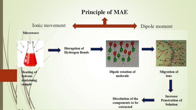 Microwave assisted extraction