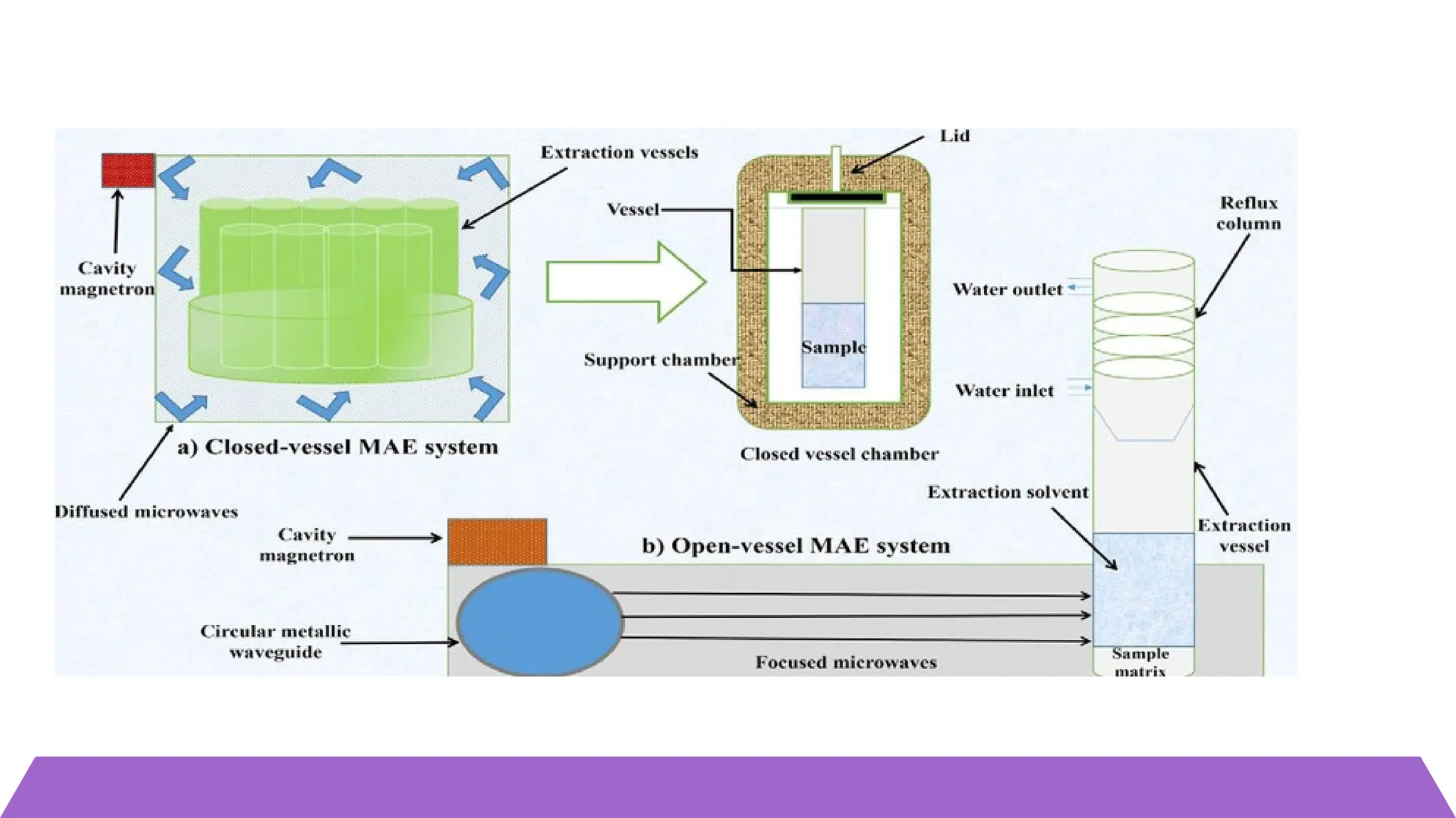 Microwave Assisted extraction techniques.pptx