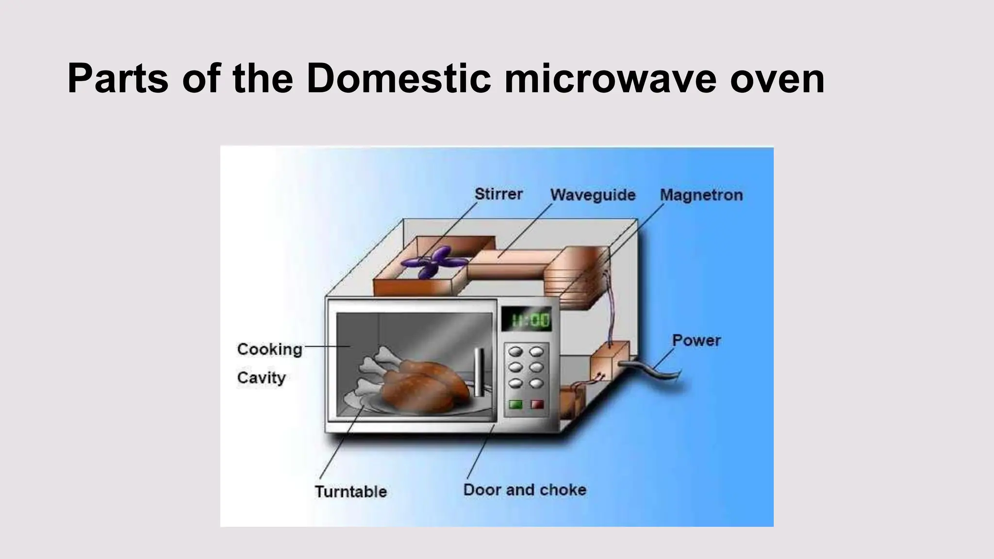 Microwave Food Processing.pptx