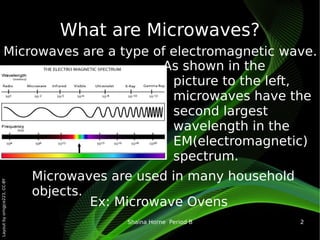 Microwave Ovens/Heat Lamps | PPT