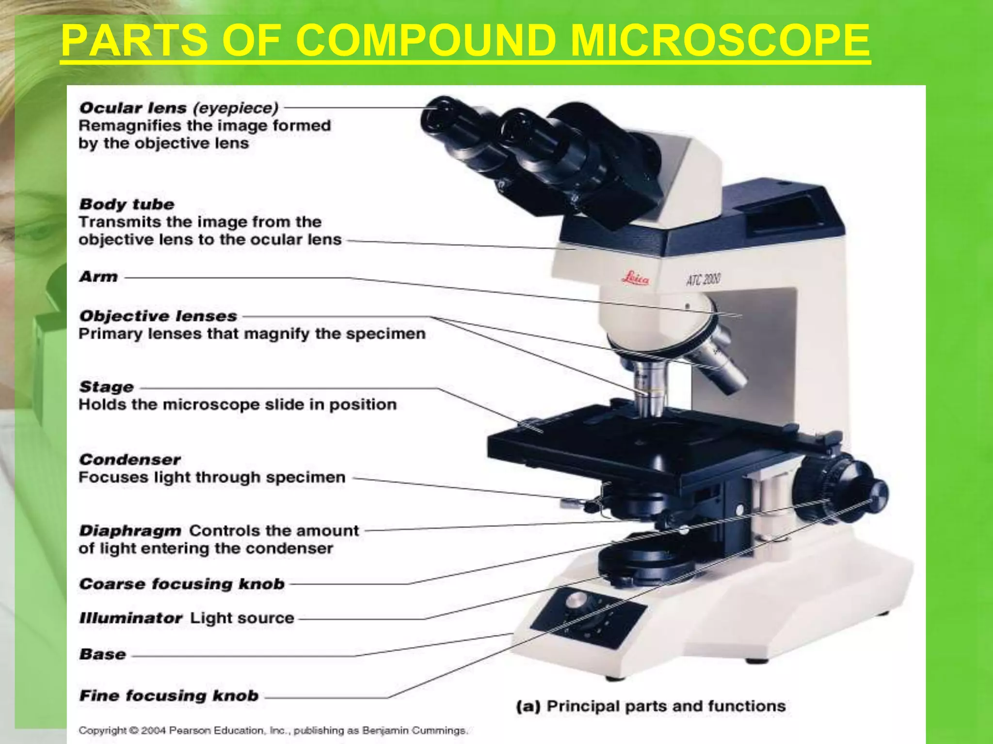 Microscopy and Types of Microscopes | PPTX
